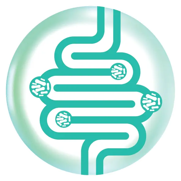 Nutriflow(นิวทริโฟล) อาหารทดแทนมื้ออาหารสูตรครบถ้วน 5 หมู่ (Mahidol ...